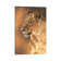 Latitude Run Lioness Portrait by Richard Macwee - Wrapped Canvas Painting | Wayfair.co.uk